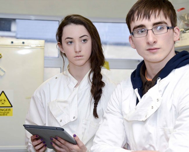 Young people - Transition Year - Amber Centre