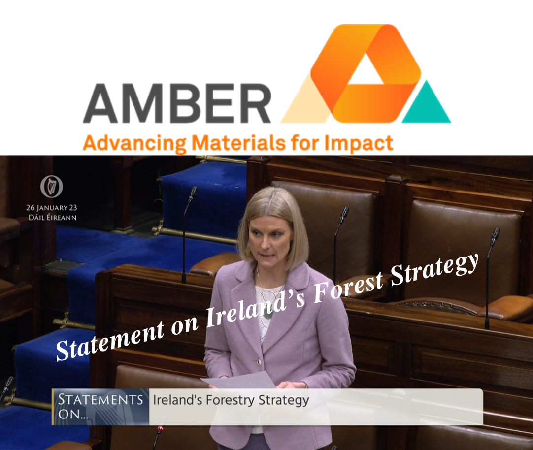 AMBER Statement - Ireland’s Forest Strategy - Amber Centre